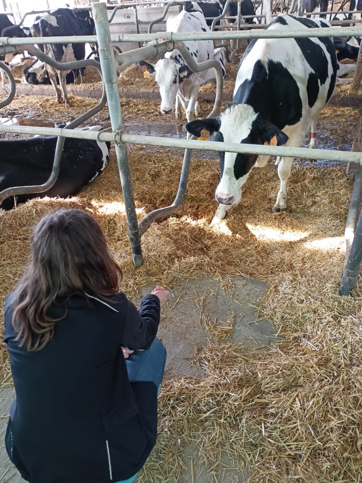 La Stalla inSegna: due giornate per scoprire i segreti di una gestione ...
