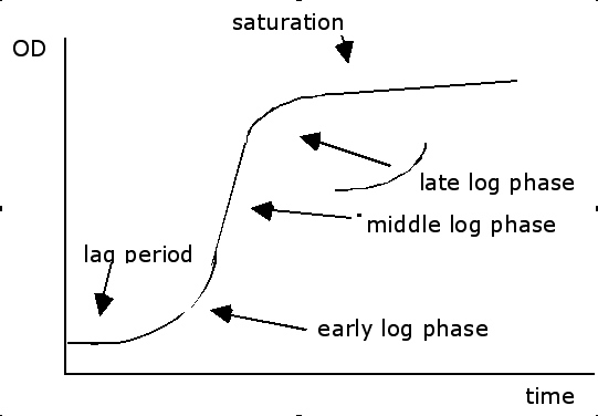 Untitled Document [sites.unimi.it]