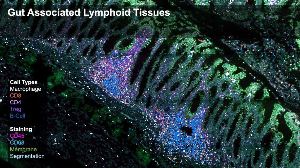 SPATIAL OMICS – scaleup biometra